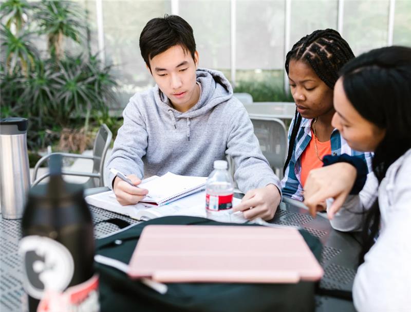 New Carlingford Community Centre and Library consultation begins ...